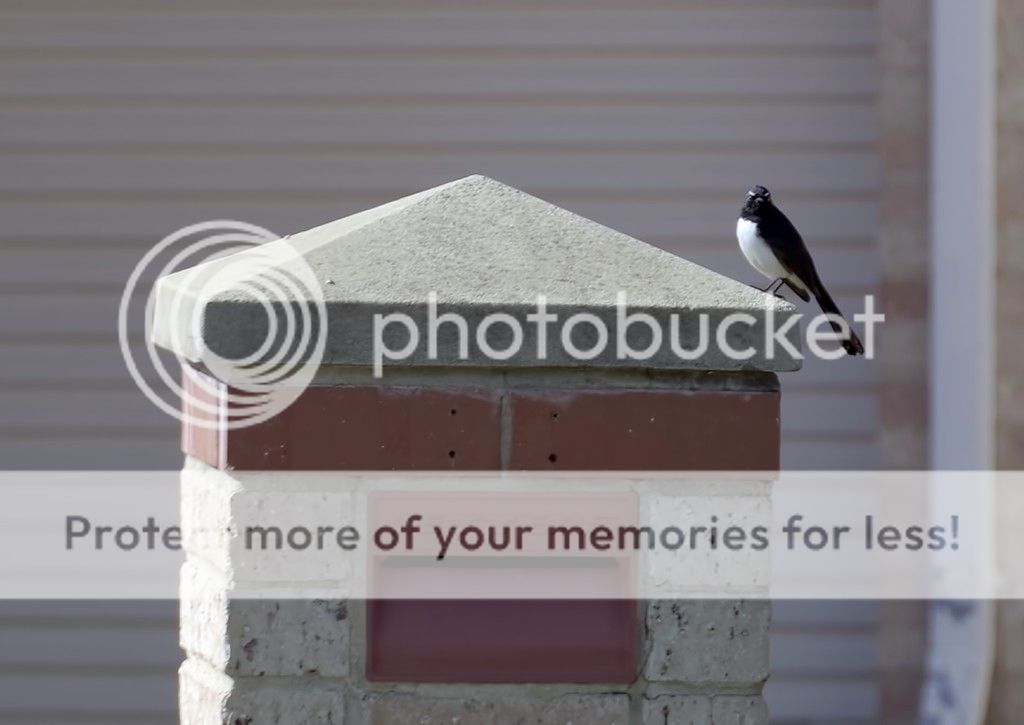 Just waiting - PentaxForums.com